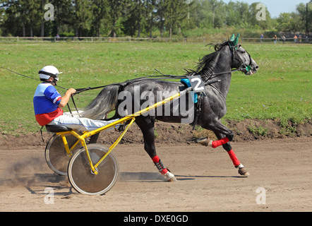 harness racer racing trot trotter trotting county fair sport ...