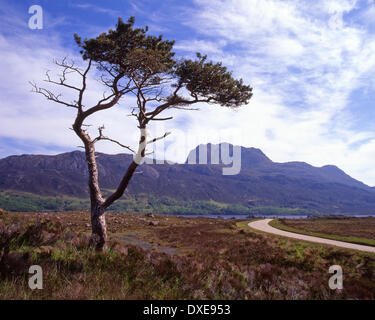 Ben Slioch and loch Maree, Wester Ross Stock Photo - Alamy