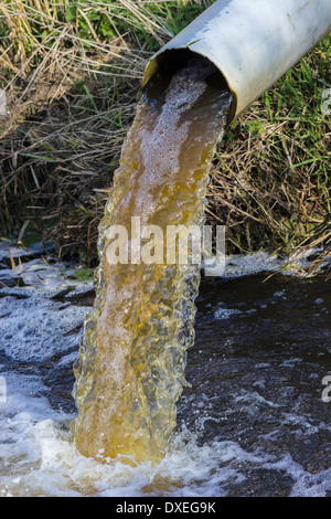 Water Outflow Pipe in the Somerset Levels, England, UK Stock Photo - Alamy