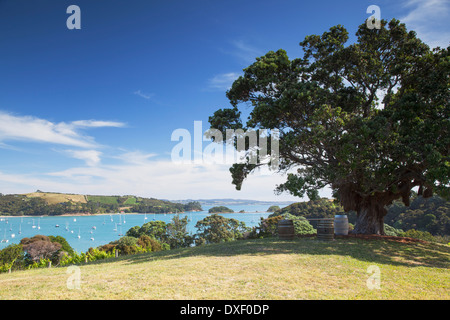 New Zealand Waiheke Island Putiki Bay Stock Photo - Alamy