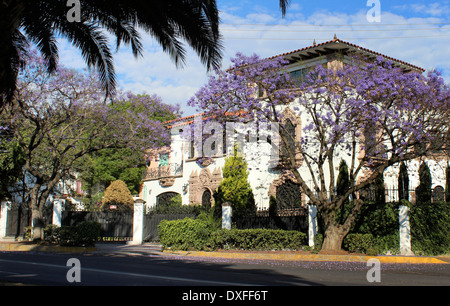 Mansion along Paseo de la Reforma with jacaranda tree, Mexico City ...