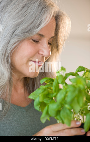 Mature woman holding basel plant Stock Photo - Alamy