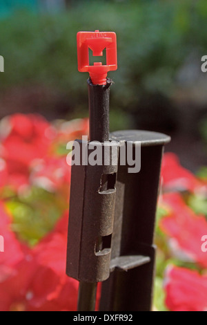 Microjet Sprinkler For Water Irrigation, India Stock Photo - Alamy