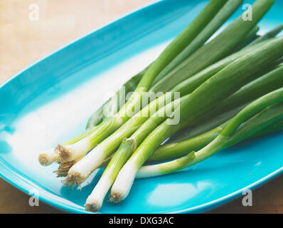 Spring onions on plate Stock Photo - Alamy