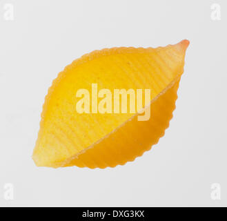 conchiglie pasta shell Stock Photo - Alamy