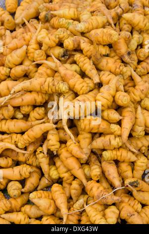 Mashua is a staple vegetable grown in South America, on a market stall ...