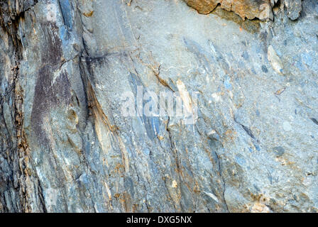Conglomerate of the Kansa Group, showing deformed stretched out pebbles ...