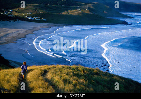 Late afternoon view over breakers in Mbotyi bay from coastal hills ...