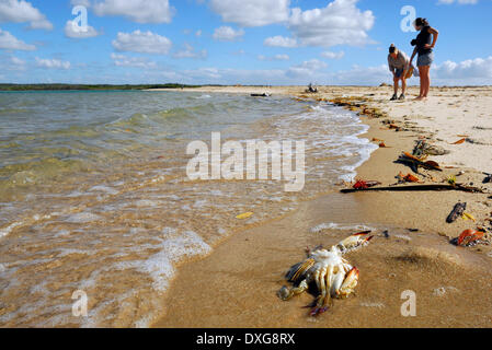 The lagoon at Pomene Lodge, Pomene, Mozambique Stock Photo - Alamy