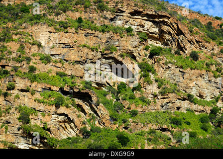 Folded, buckled, rock strata in Baviaanskloof Pass, Eastern Cape, South ...