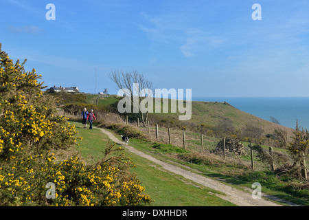 View of Hastings Country Park, and Fairlight cliffs Stock Photo - Alamy