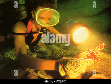 JACQUELINE BISSET, THE DEEP, 1977 Stock Photo: 240424747 - Alamy