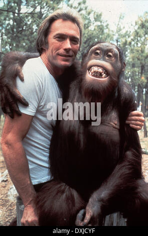 Clint Eastwood, Clyde / Every Which Way But Loose 1978 directed by ...