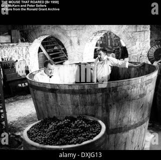 THE MOUSE THAT ROARED Stock Photo - Alamy