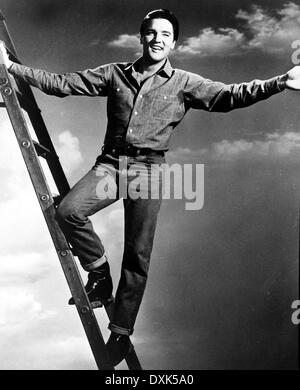 ROUSTABOUT, Elvis Presley, 1964 Stock Photo - Alamy