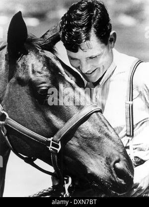 PHAR LAP aka PHAR LAP: HEART OF A NATION JUDY MORRIS Date: 1983 Stock ...