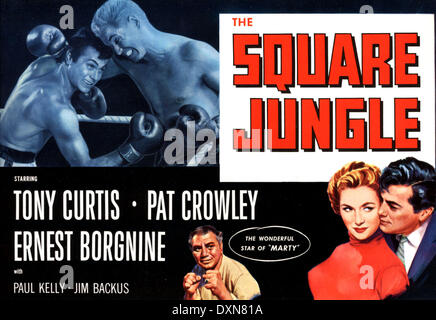 THE SQUARE JUNGLE (1955) TONY CURTIS JERRY HOPPER (DIR) 002 Stock Photo ...