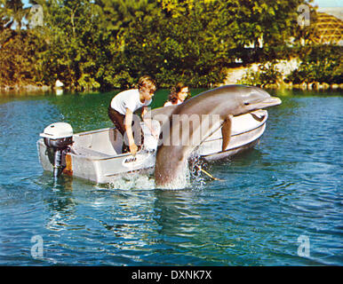 FLIPPER'S NEW ADVENTURE, Flipper, 1964 Stock Photo - Alamy
