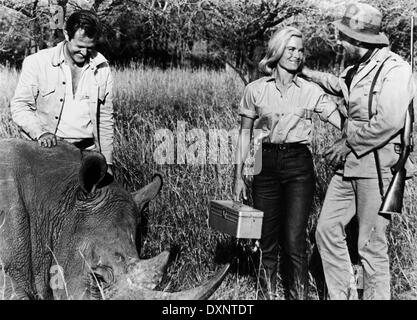 Shirley Eaton, Harry Guardino & Robert Culp Film Rhino! (1964) Characters: Miss Arleigh,Alec ...
