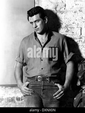 ROCK HUDSON (1925-1985) American film actor about 1956 Stock Photo - Alamy