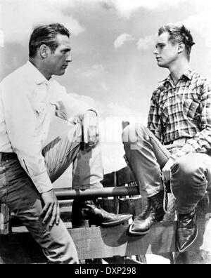 HUD, Paul Newman, Brandon de Wilde, 1963 Stock Photo - Alamy