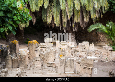 Tophet de Carthage, ancient childrens cemetry in Carthage, Tunisia ...