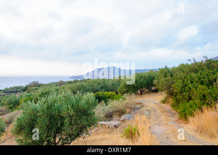 Wide view of a Cretan landscape, island of Crete, Greece Stock Photo ...
