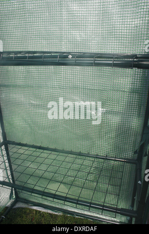 plastic coated wire shelving in plastic greenhouse Stock Photo - Alamy