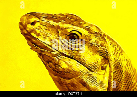 Lizards (Latin Lacertilia, previously Sauria) - suborder squad scaly ...