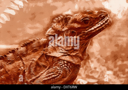 Lizards (Latin Lacertilia, previously Sauria) - suborder squad scaly ...