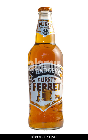 Bottle of Badger Fursty Ferret beer brewed at Hall Woodhouse Blandford ...