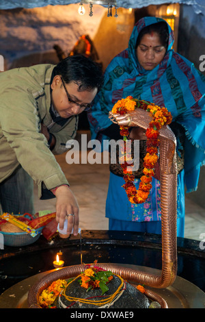 India, Dehradun. Sheshnag, the Divine Five-headed Serpent in Hindu ...