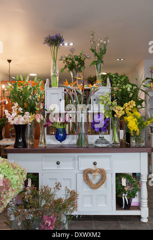 interior of a florists shop Stock Photo - Alamy