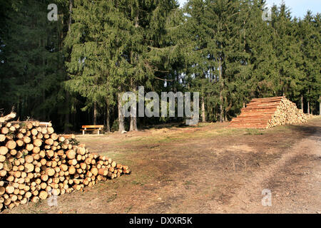 wood, forest, logs, sawlogs, prune Stock Photo - Alamy
