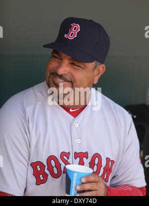 Boston Red Sox assistant hitting coach Dillon Lawson poses during photo ...