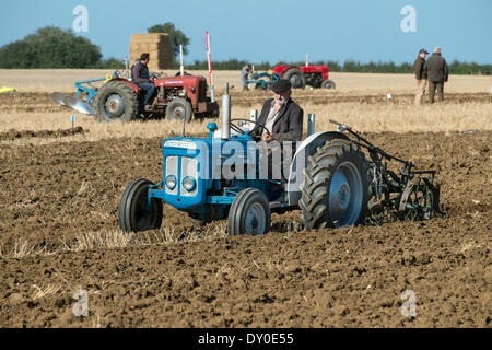 Fordson Dexter Tractor Stock Photo - Alamy