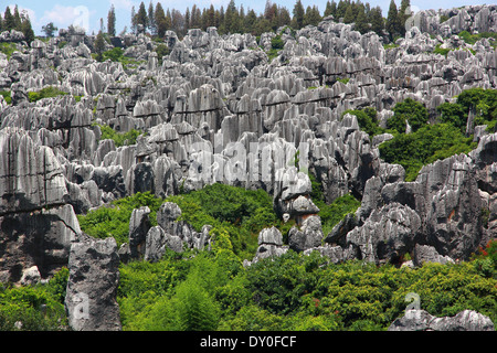 Limestone formation at Kunming Stone forest or Shilin, a UNESCO World ...