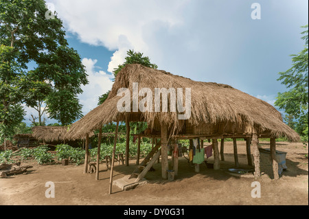 Thatched hut on stilts of the Mising (aka Mishing) tribe flanked by ...