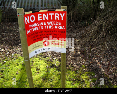 Warning sign for Japanese Knotweed infestation Stock Photo - Alamy