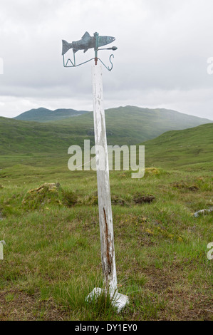 Fish wind vane at an isolated remote spot below Beinn Mhór, Pairc (Park ...