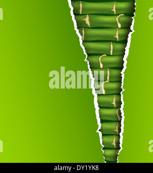 Green bamboo stick pattern background. Vector illustration Stock Photo ...