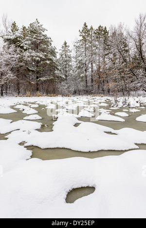 A late winter storm leaves Murphy-Hanrehan Park Reserve coated in a ...