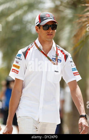 Adrian Sutil (GER) Sauber. Bahrain Grand Prix, Friday 4th April 2014 ...