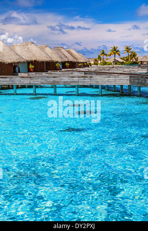 Wooden bungalows on the beach in Koh Rong Sanloem island at sunrise ...