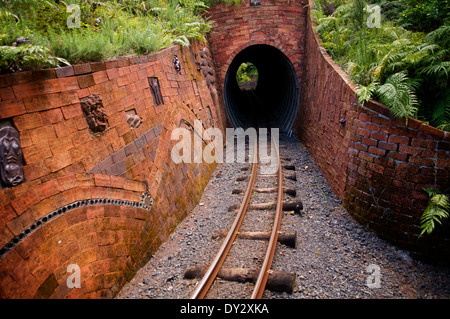 Tunnel, Driving Creek Railway, Coromandel Peninsula, North Island, New ...