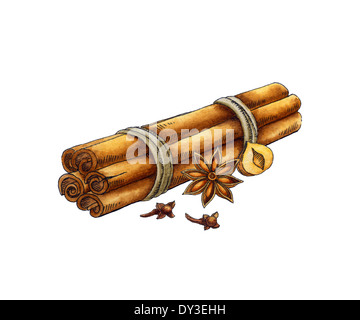 Cloves, a spice, watercolor illustration. Food clip art. A bud of a ...