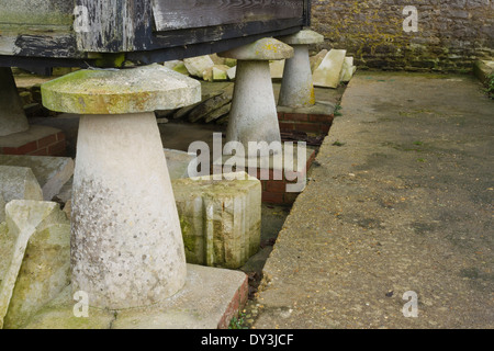 mushroom shape staddle stone supporting an old barn. Close view with ...