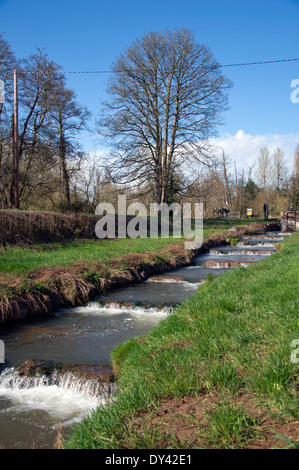 Osbaston generator and fish pass Stock Photo: 68316588 - Alamy