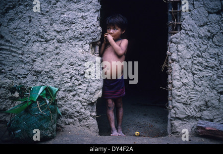 Yanomami Child Stock Photo: 219007 - Alamy