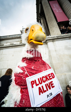 PETA protesting against the inhuman treatment of animals Stock Photo ...